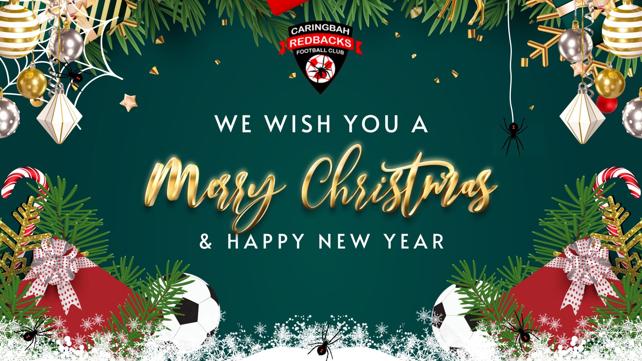 Caringbah Redbacks Football Club – Caringbah Redbacks Football Club