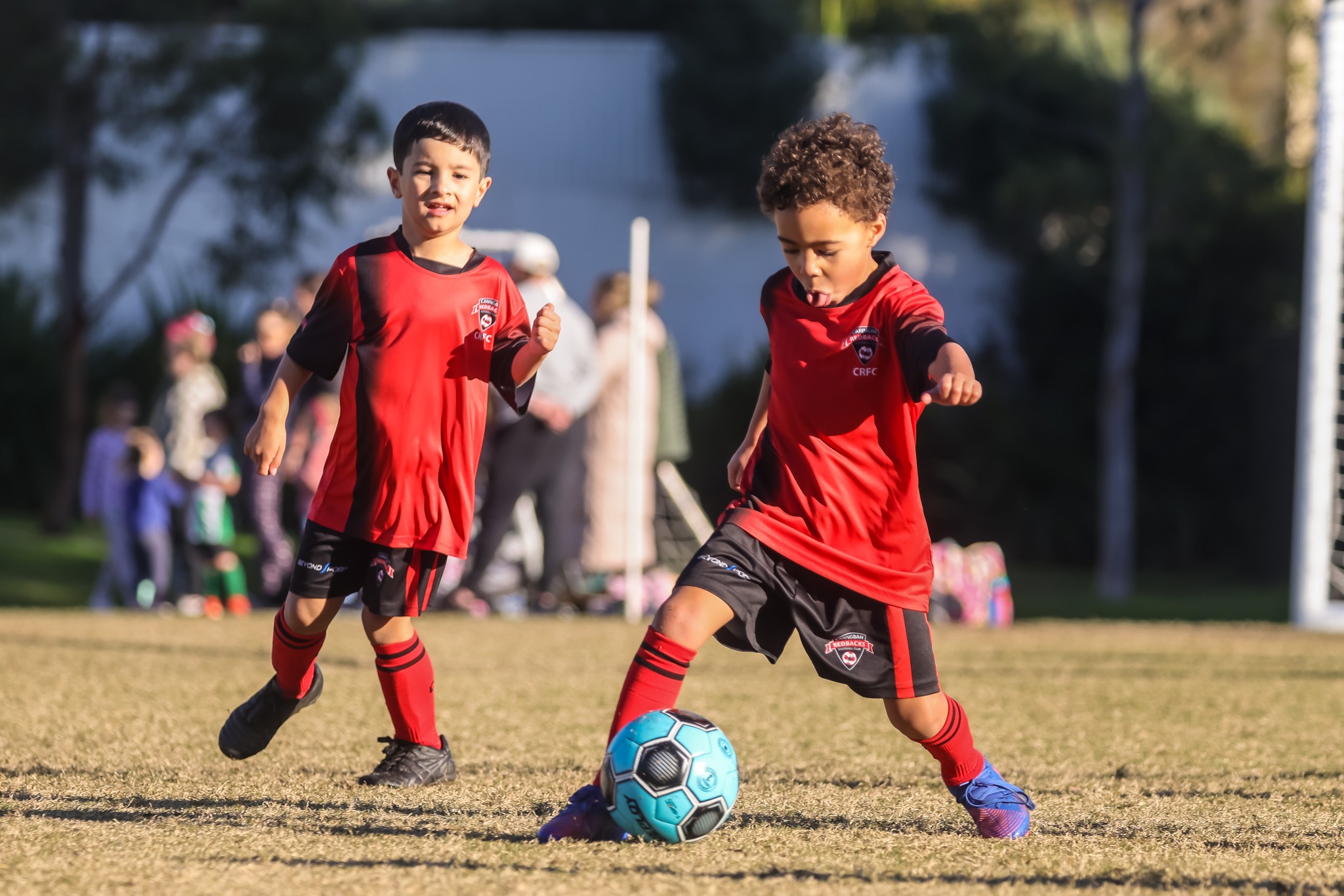 CRFC – Home of Caringbah Redbacks Football Club